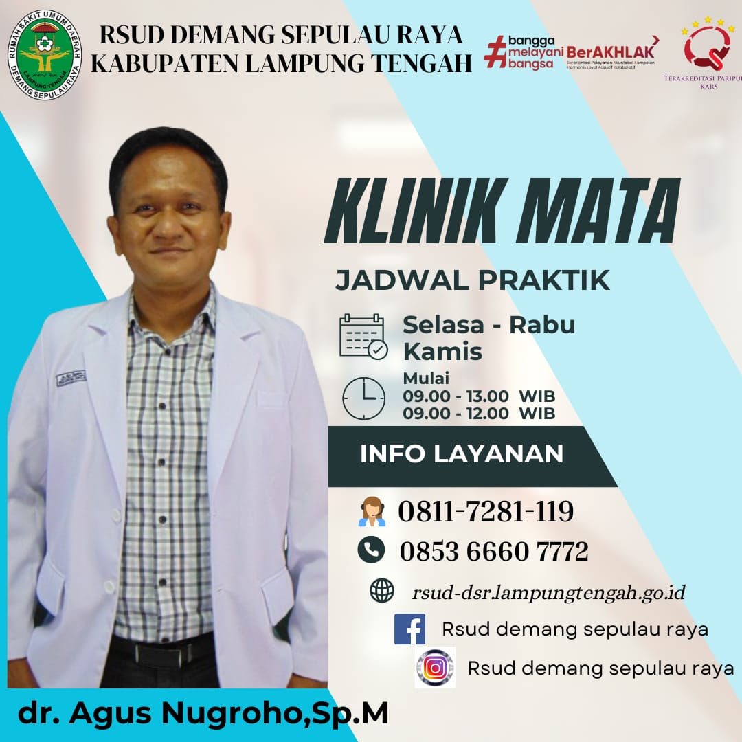 RSUD Demang Sepulau Raya